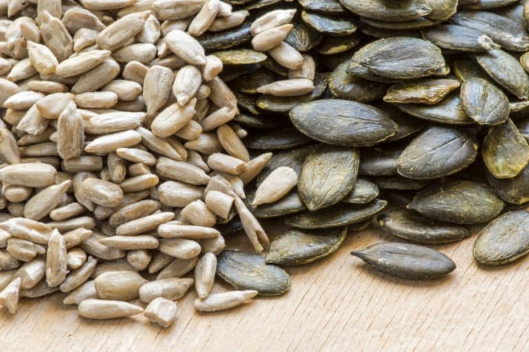 13 Good Seeds for Ducks (and 2 to Avoid) – Urban Backyard Farming